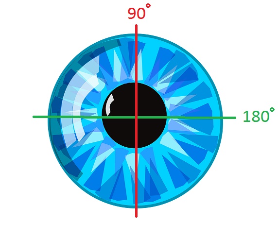 What Are Toric Contact Lenses? A Simplified Explanation - Contacts Advice